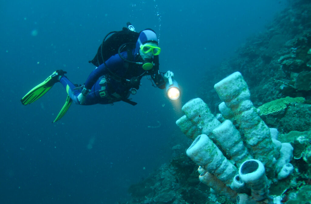 Sipalay Guide
